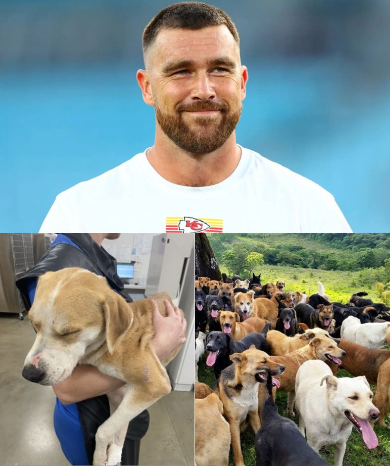 kk.Travis Kelce is creating “Endzone Haven” — a six-acre, $5 million ...